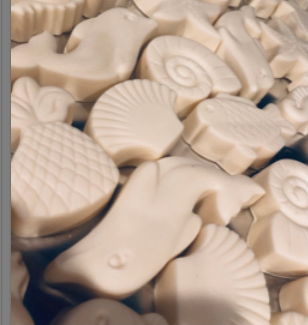 Seashell Soap Set - Etsy