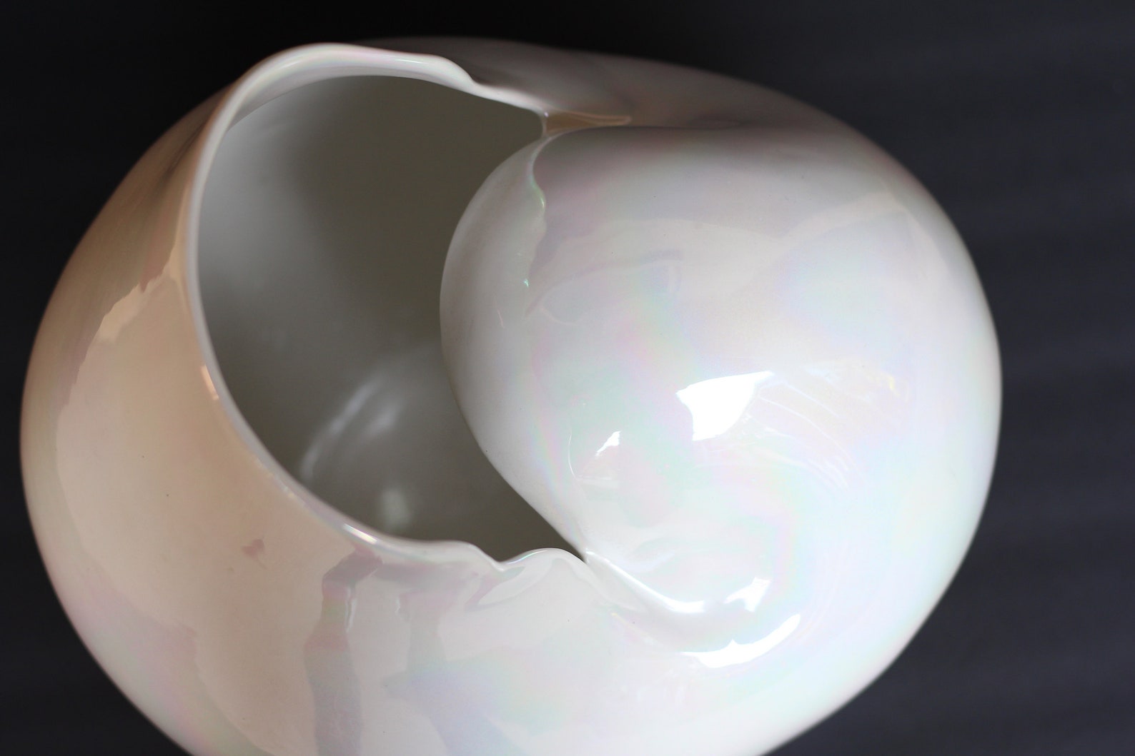 Italian Pearl Ceramic Nautilus Shell Centrepiece Sculpture / - Etsy