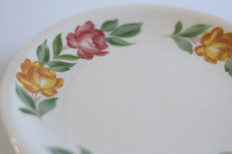 Shenandoah Ware Plates and Bowls/ Pottery Florals Serving Plates and ...