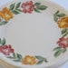 Shenandoah Ware Plates and Bowls/ Pottery Florals Serving Plates and ...