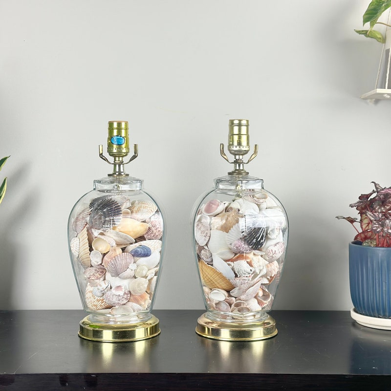 Seashell Lamps - Etsy