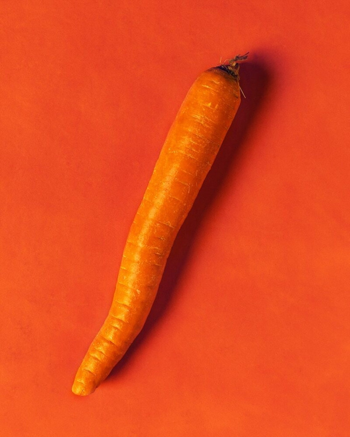 Wickett & Craig English Bridle Leather Strap Carrot 55 - Etsy