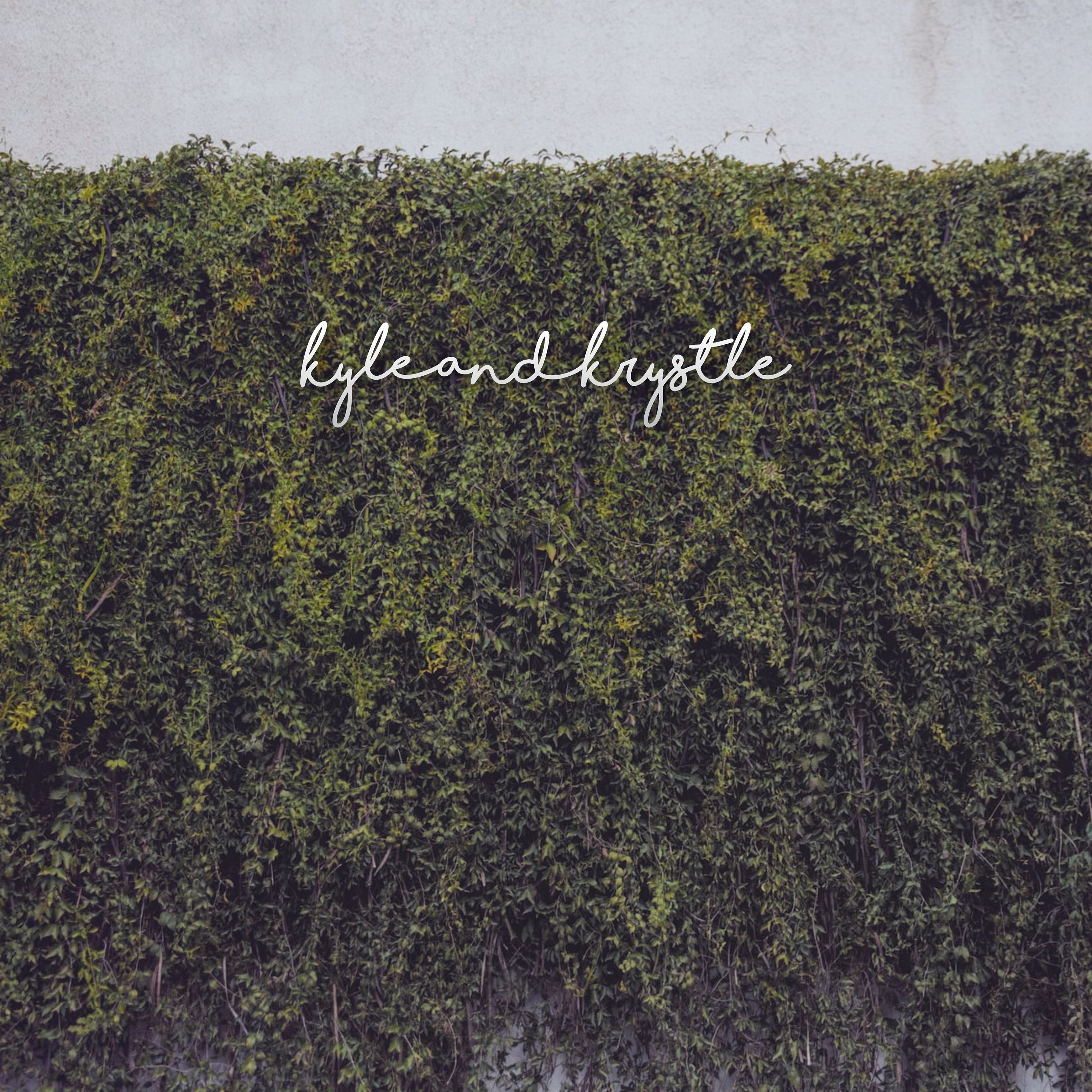 Custom Text Wedding Sign Wedding Name Sign Wedding Backdrop | Etsy