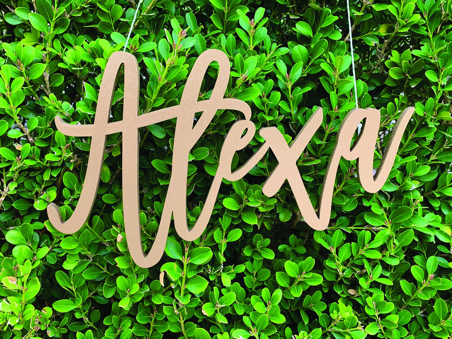 Small Custom Name Sign Nursery Name Sign Wooden Name Cutout - Etsy