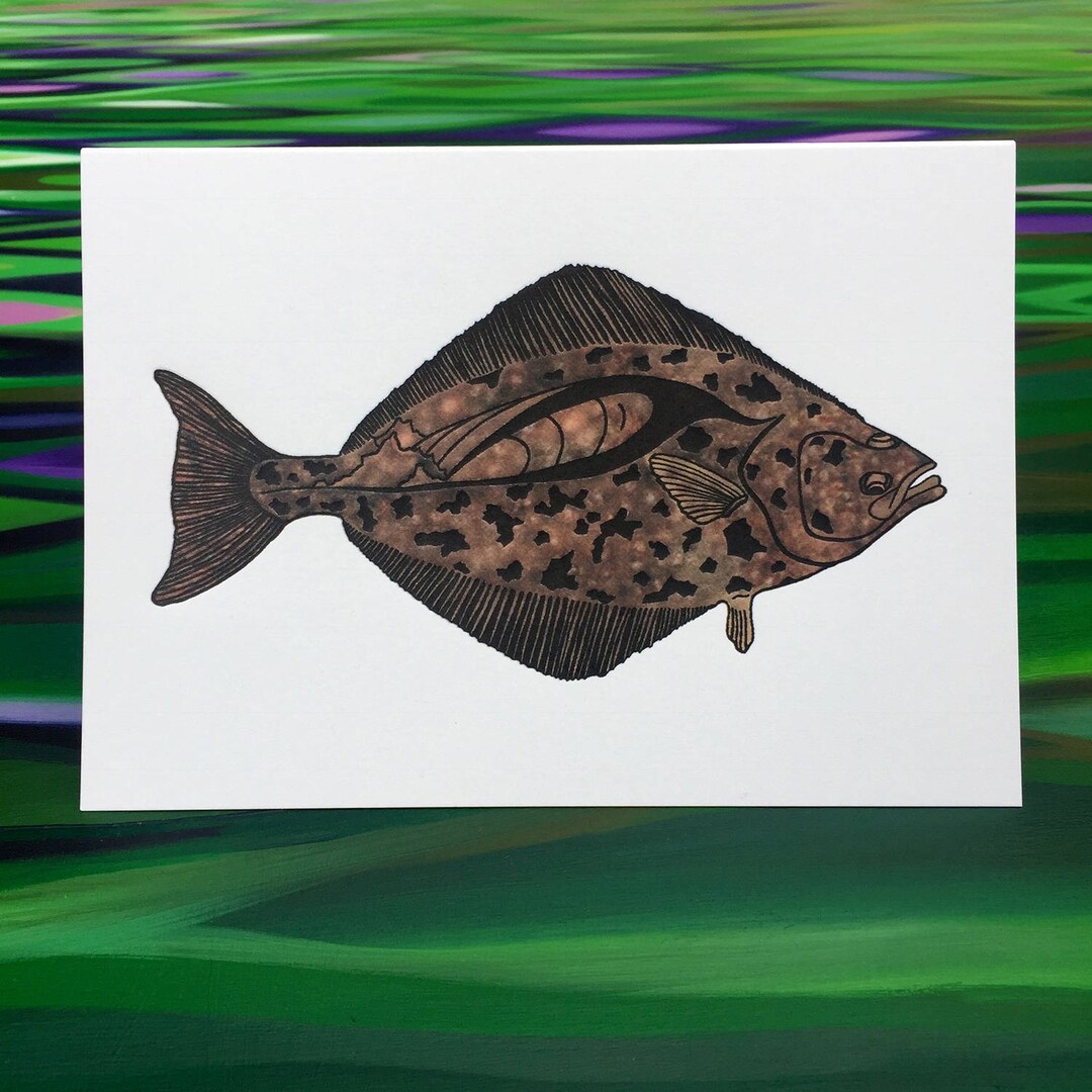 Halibut Greeting Cards - 6 Pack - 4" X 6" Size - Letter Press - on ...