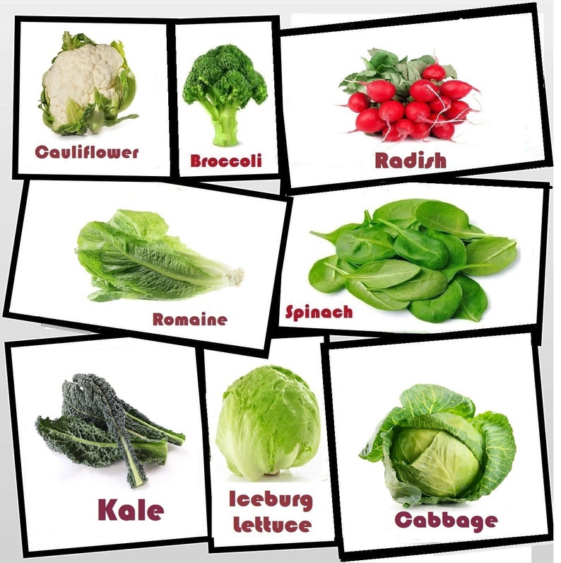 Heirloom Vegetable Seeds Full Size Seed Packs-Non GMO Easy | Etsy