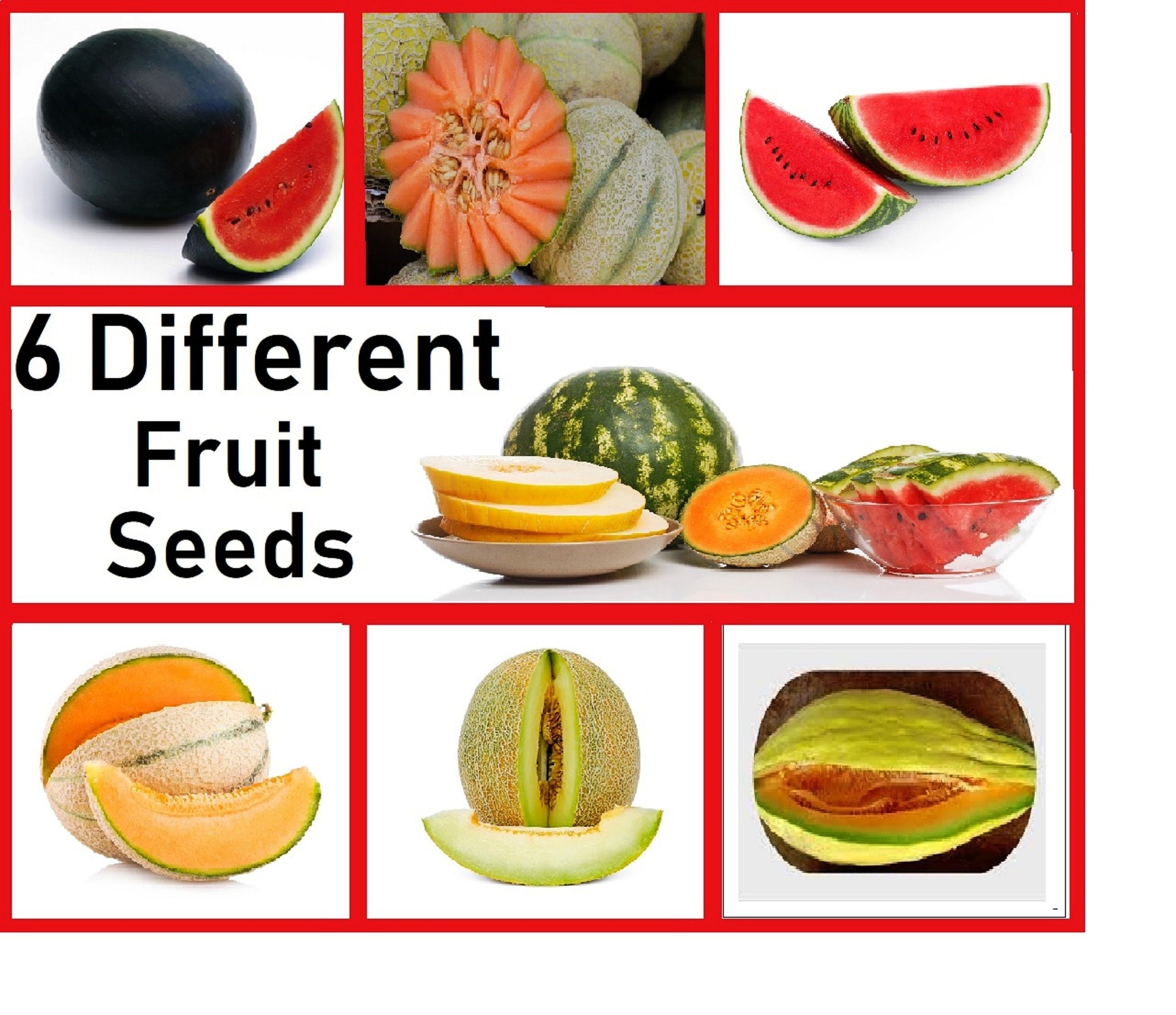 Heirloom Fruit Seeds- Non Hybrid- Real Survival Seeds. 6 Different ...