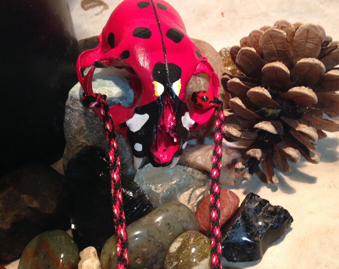 Ladybug Painted Animal Skull Natural Nature Cleaned - Etsy