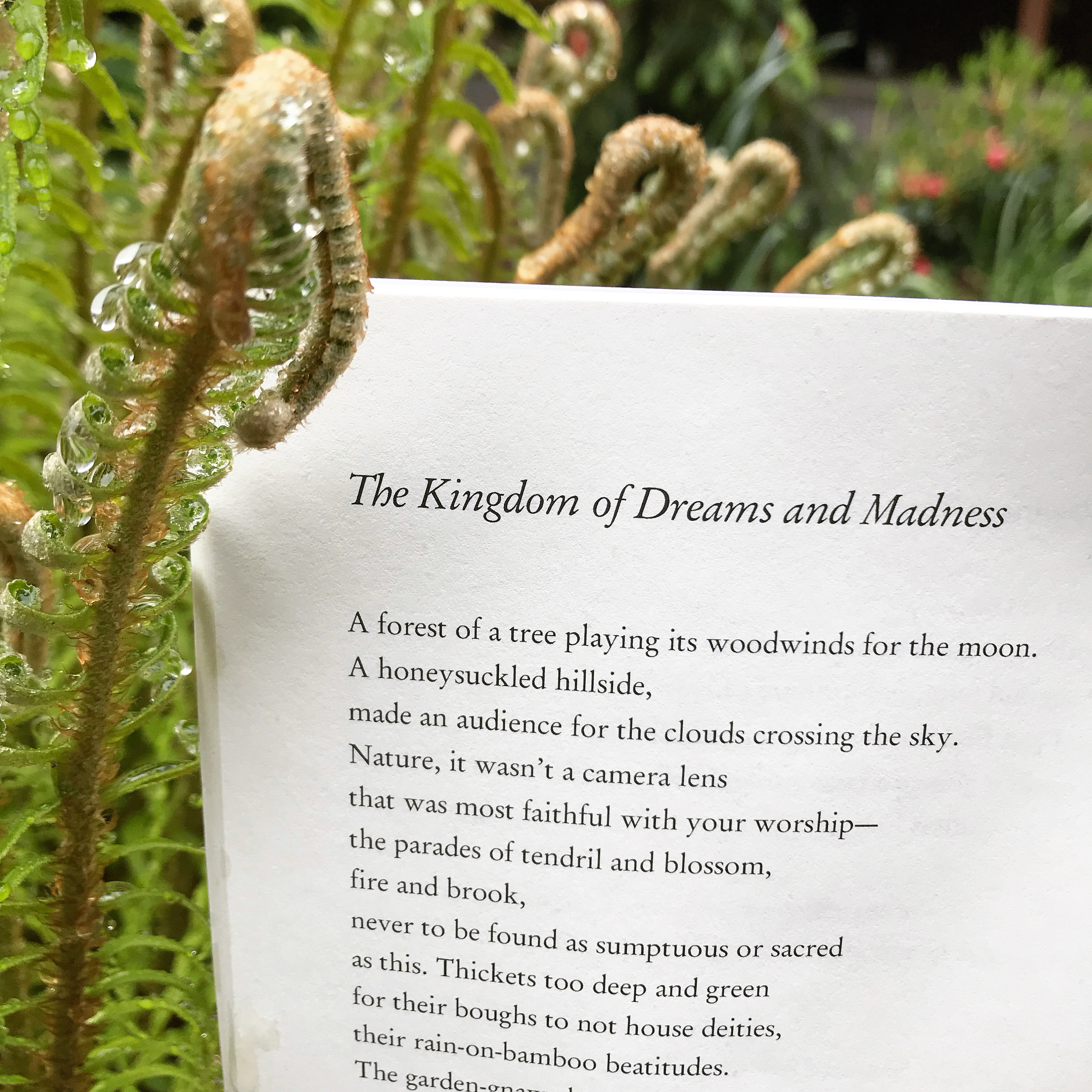 Nerd Poetry Book Poems Inspired by Final Fantasy, the Legend of Zelda ...