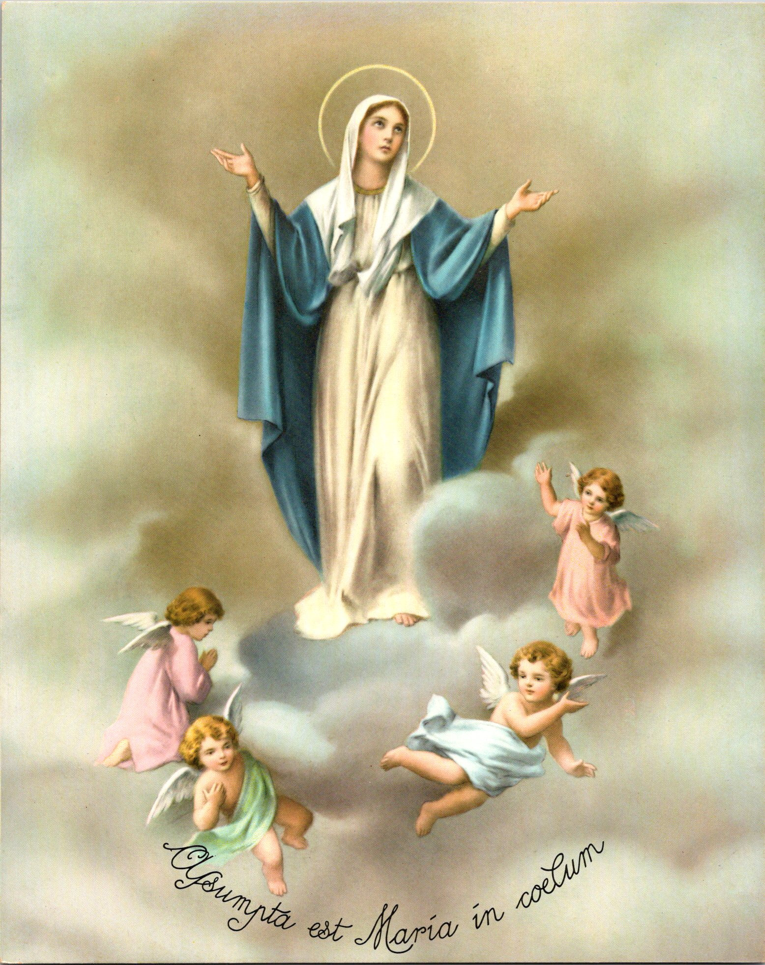 Immaculate Conception Novena Digital Download Catholic Print 8 X 10 - Etsy