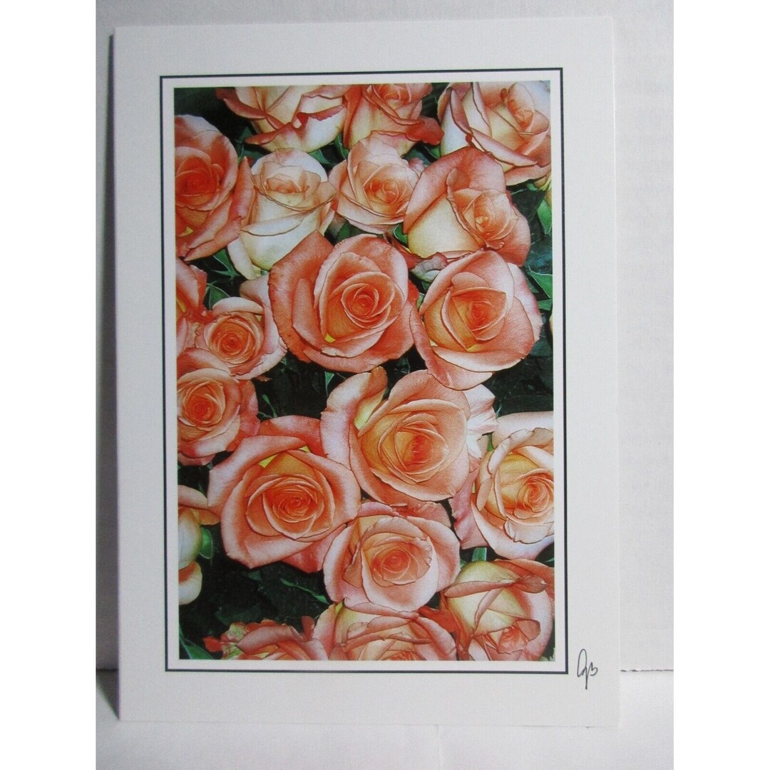 Notecard Multiple Pink Roses Thank You Greeting Card W/ Inside Message ...