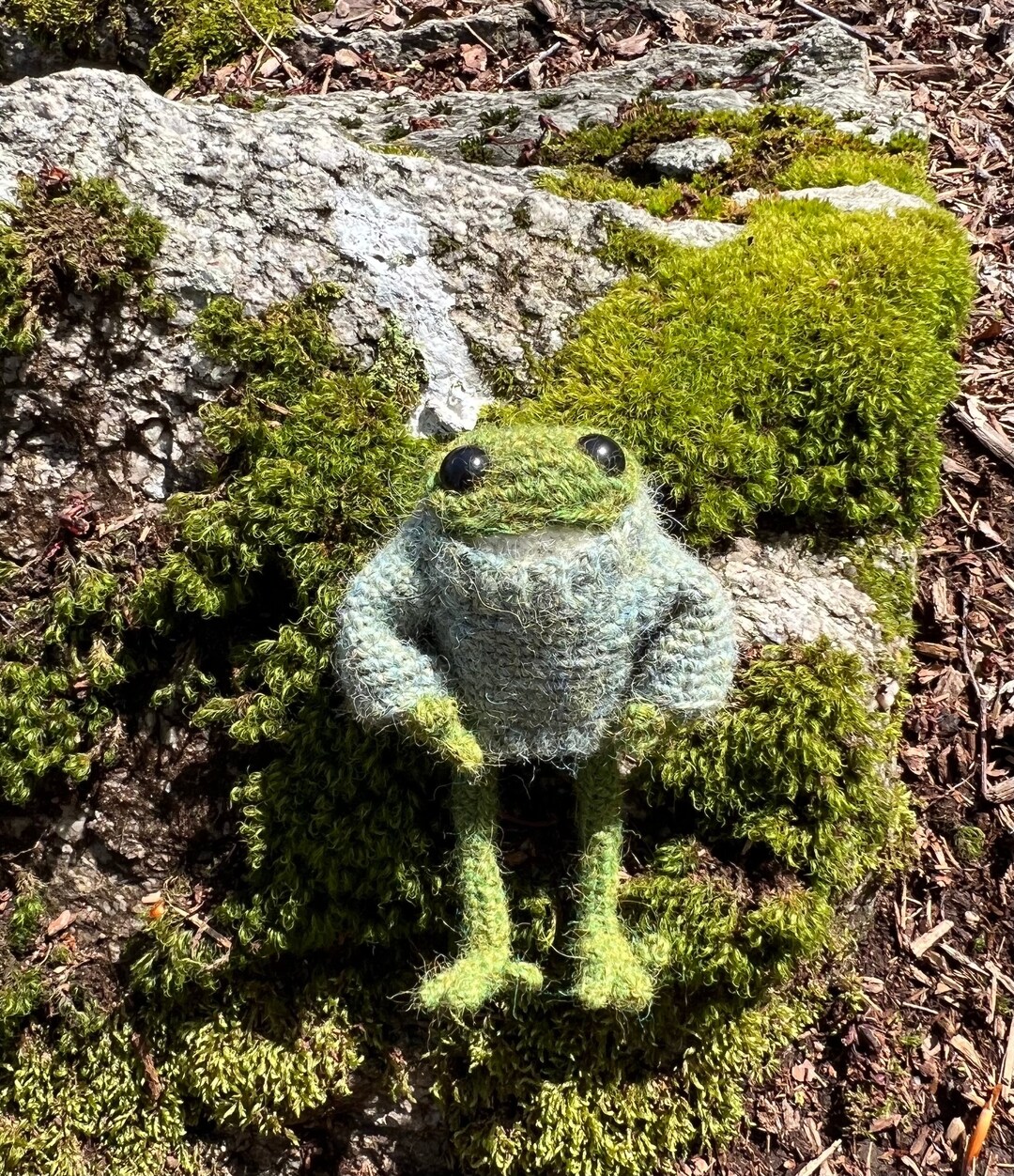 Knitted Crocheted Frog-toad Tik Tok Inspired Posable - Etsy
