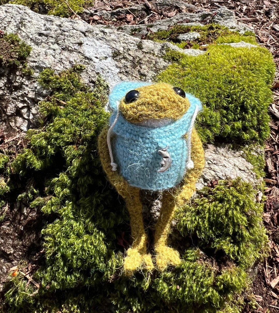 Knitted-crocheted Frog Toad Tik Tok Inspired Posable - Etsy