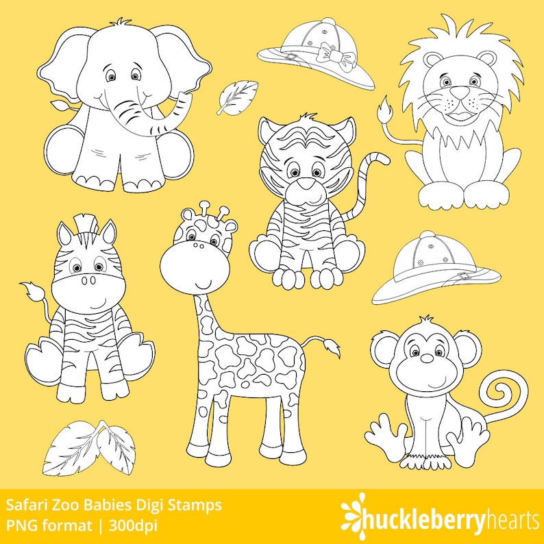Safari Zoo Animals Clipart Zoo Animals Zoo Clipart - Etsy