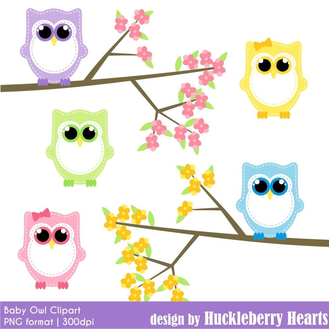 Baby Owl Clipart, Owl Clip Art, Digital Owls, Spring - Etsy
