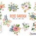 Rose Garden Clipart, Flower SVG Bundle, Flower Clipart SVG, Rose Flower ...