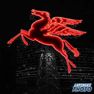 Downtown Dallas Night Photograph, Red Color Splash, Flying Red Horse ...