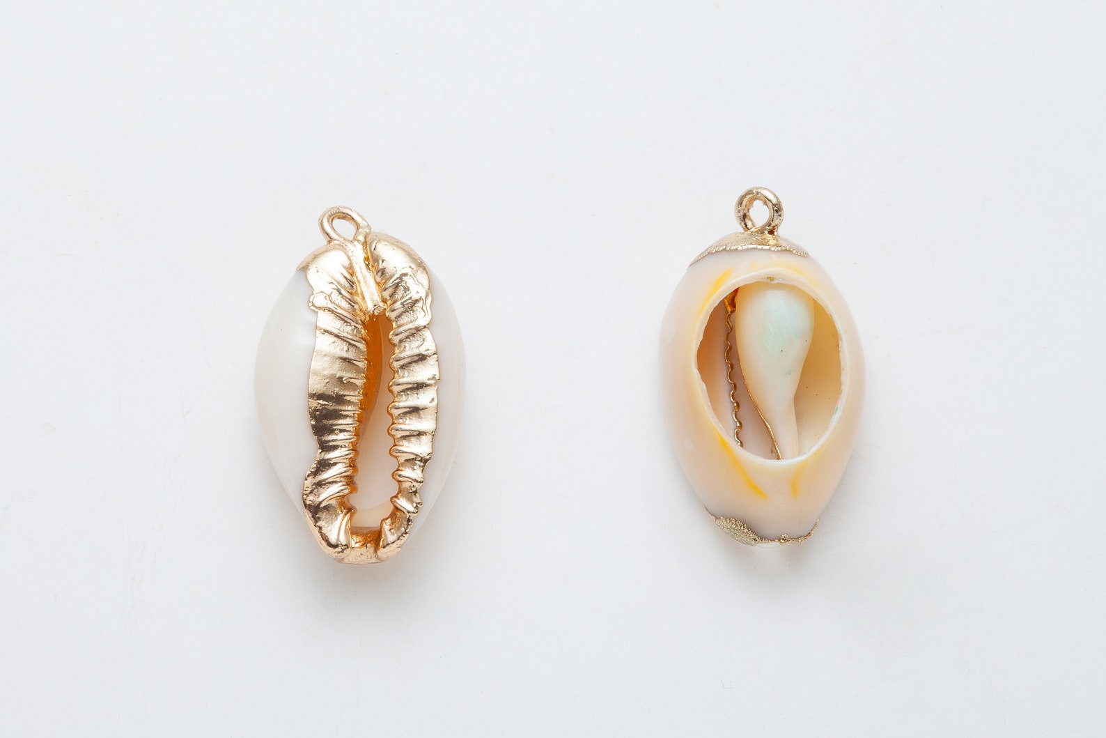 2 PCS Natural Sea Shell Cowrie Shell Money Shell Shell - Etsy
