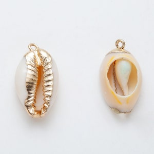 2 PCS Natural Sea Shell Cowrie Shell Money Shell Shell Bead Seashell ...