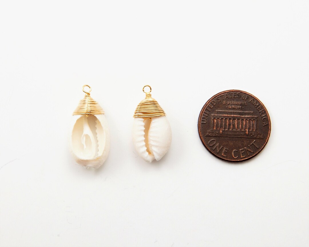 1 PC Natural Sea Shell, Conch Shells Charm, Cowrie Shell, Money Shell ...