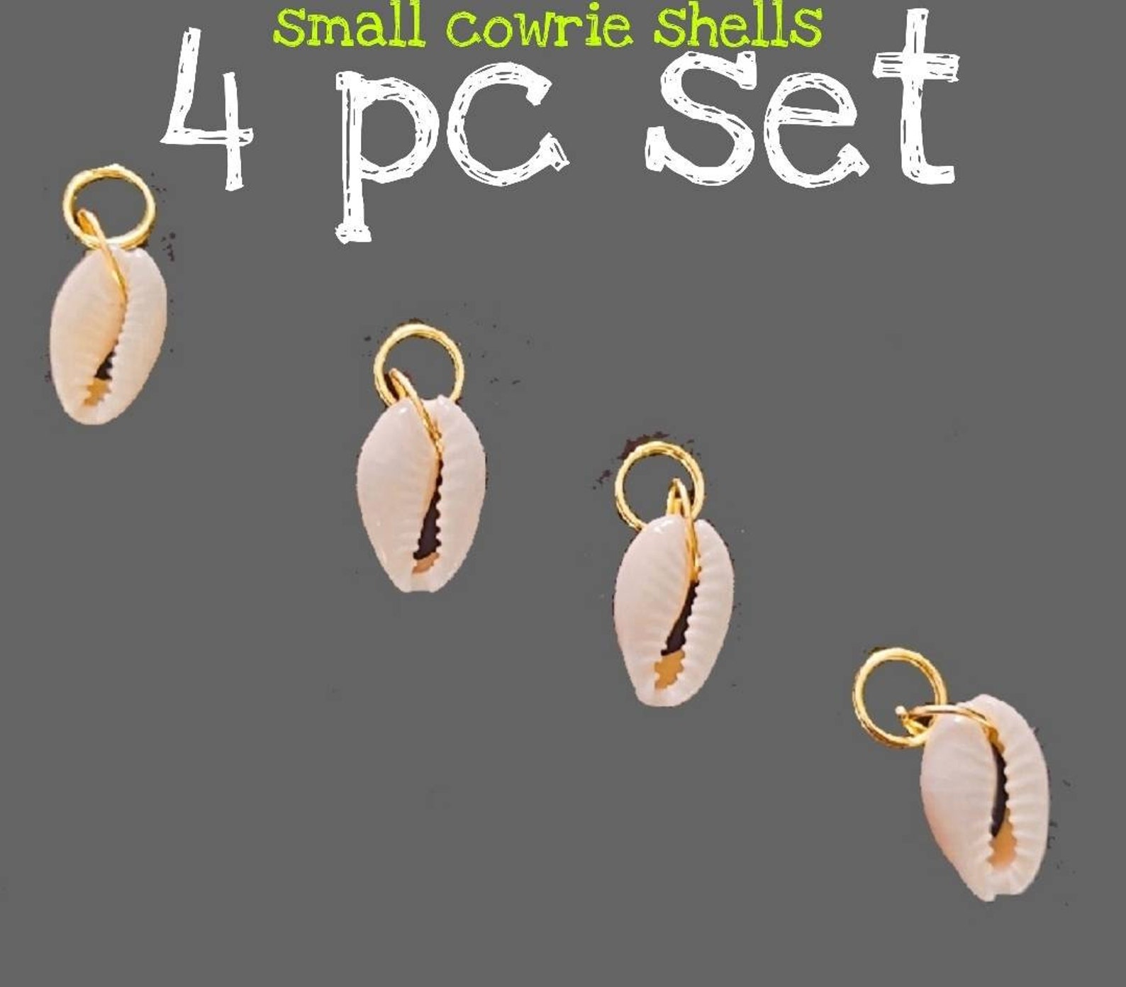 Small White Cut Cowrie Shells - Etsy
