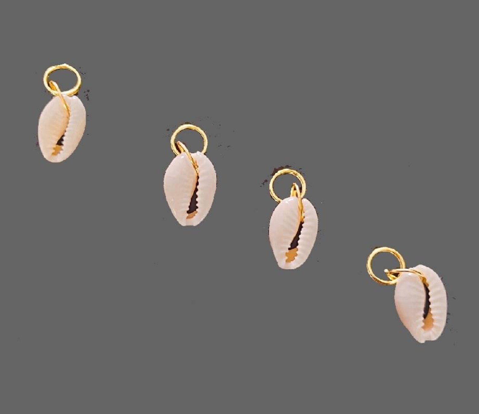 Small White Cut Cowrie Shells - Etsy