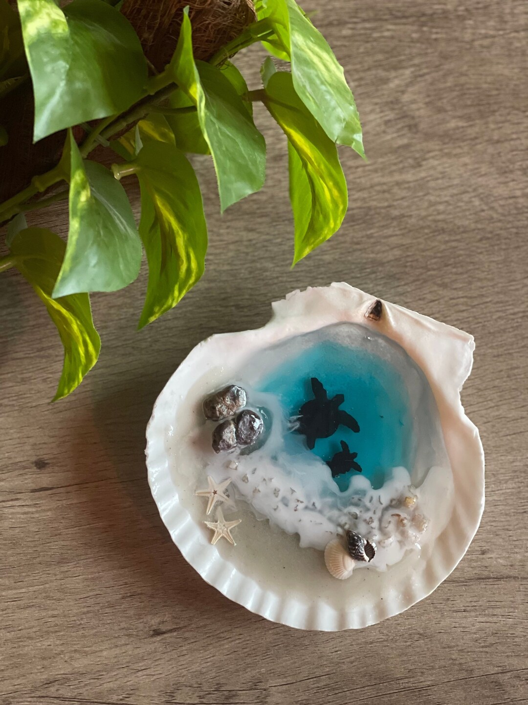 Mini Beach Scene in Clam Shell Mini Ocean Scene Sea Turtle - Etsy