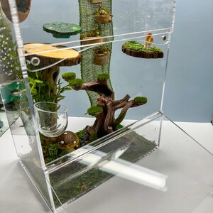 Front Opening Jumping Spider Enclosure, 7.8x5.3x10, READY TO SHIP ...