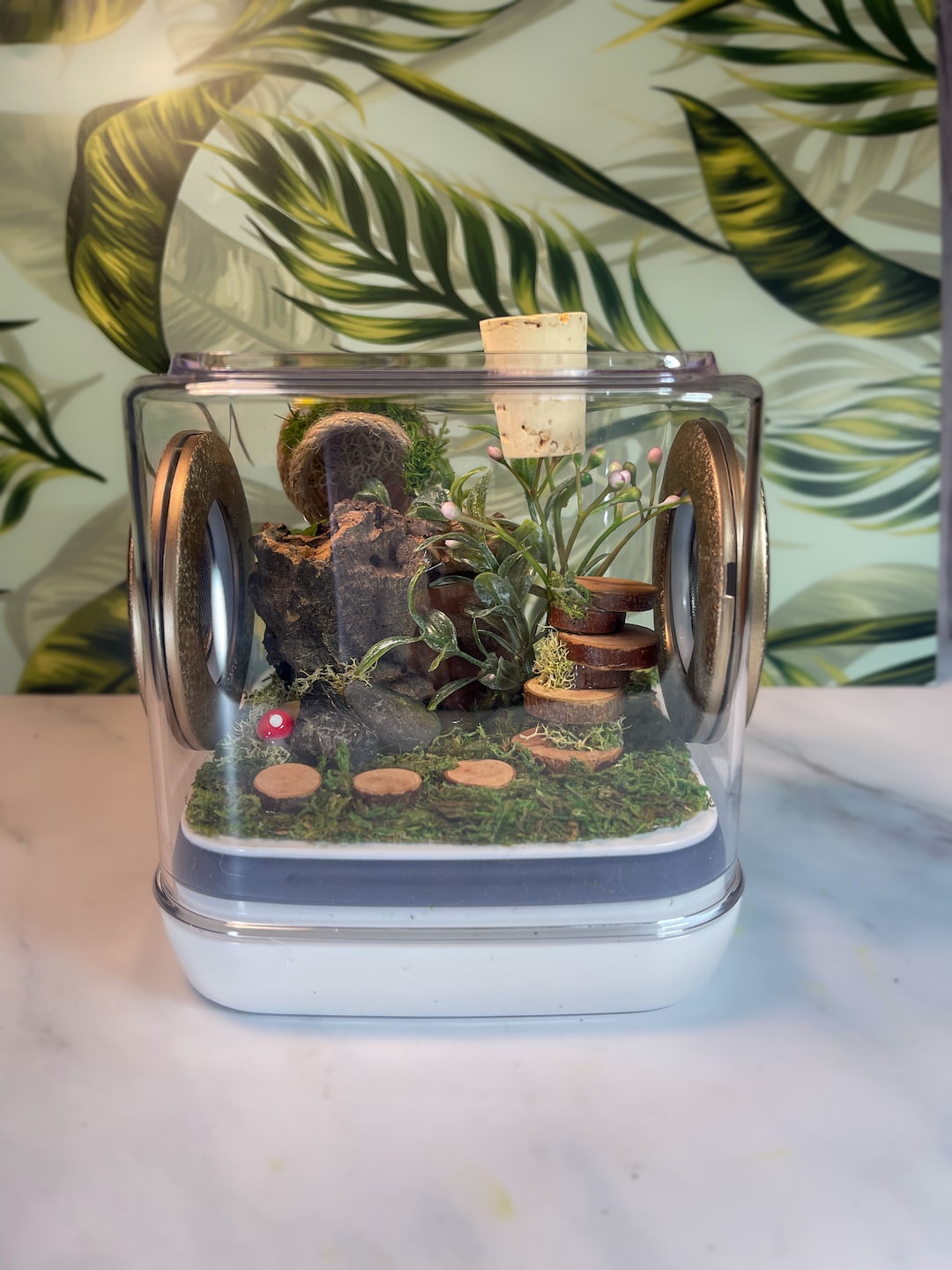 Jumping Spider Enclosure, 5x5x5 Spider House, Spider Tank, Spider ...