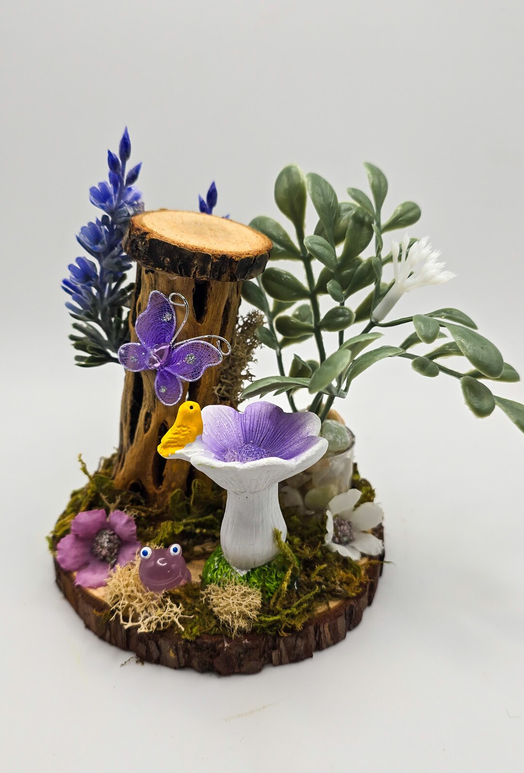 Jumping Spider Playground, Jumping Spider Decoration, Jumping Spider ...