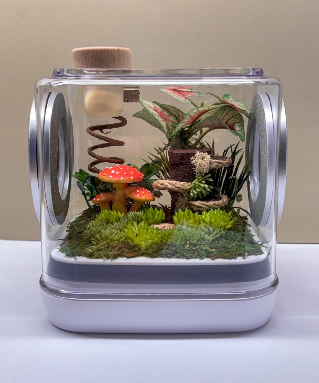 Jumping Spider Enclosure 5x5x5, READY TO SHIP, Spider Tank, Habitat ...