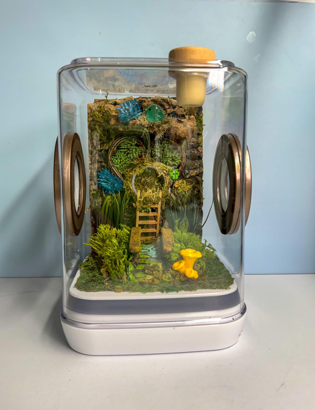 Jumping Spider Enclosure, 5x5x7, READY TO SHIP, Spider House, Spider ...