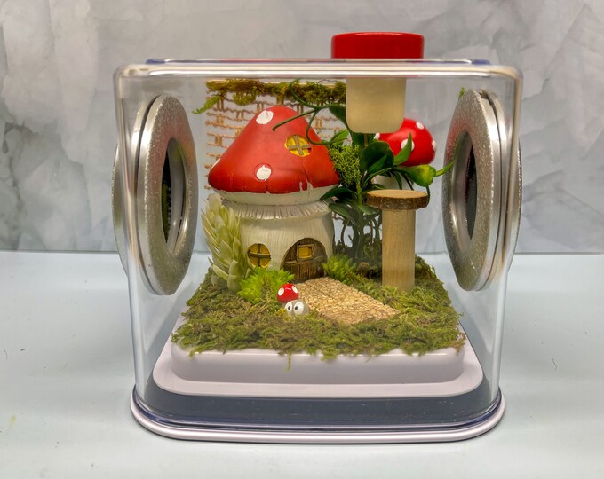 Jumping Spider Enclosure 5x5x5, READY TO SHIP, Spider Tank, Habitat ...