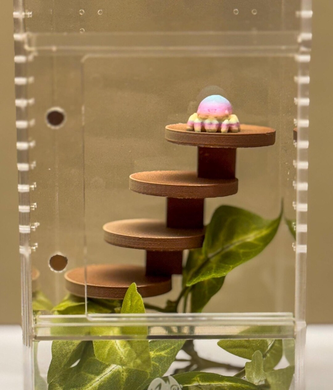 Jumping Spider Enclosure Ladder or Steps, Magnetic Enclosure Accessory ...