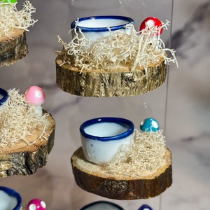 Jumping Spider Food Dish, Jumping Spider Enclosure , Accessories for ...