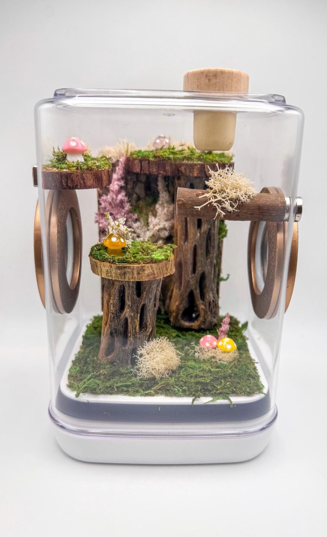 Jumping Spider Enclosure, 5x5x7 Spider House, Spider Tank, Spider ...