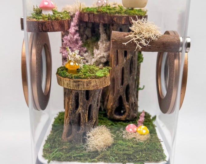 Jumping Spider Enclosure, 5x5x7 Spider House, Spider Tank, Spider ...