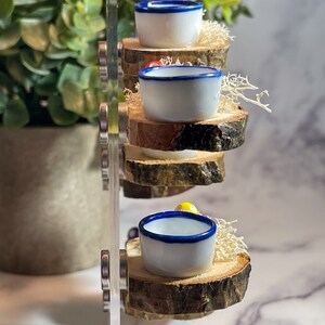 Jumping Spider Food Dish, Jumping Spider Enclosure , Accessories for ...