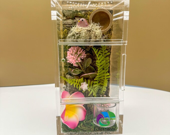 Front Opening Jumping Spider Enclosure, 3x3x6, READY TO SHIP, Spider ...