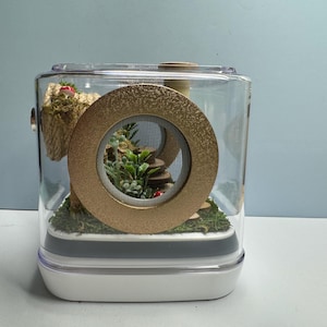 Jumping Spider Enclosure, 5x5x5 Spider House, Spider Habitat, Arachnid ...