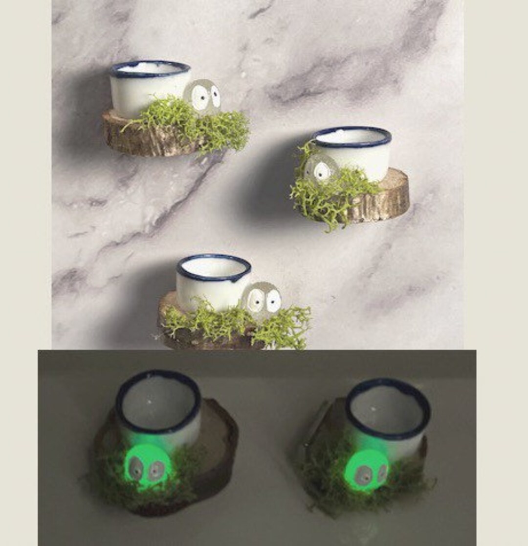 Jumping Spider Food Dish, Jumping Spider Enclosure , Accessories for ...