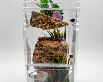 Front Opening Jumping Spider Enclosure, 3x3x6, READY TO SHIP, Spider ...