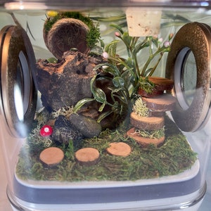 Jumping Spider Enclosure, 5x5x5 Spider House, Spider Tank, Spider ...