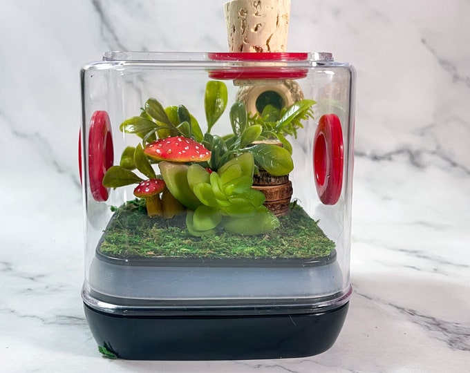 Jumping Spider Enclosure 4x4x3.5,house, Tank, Spider Habitat, Arachnid ...