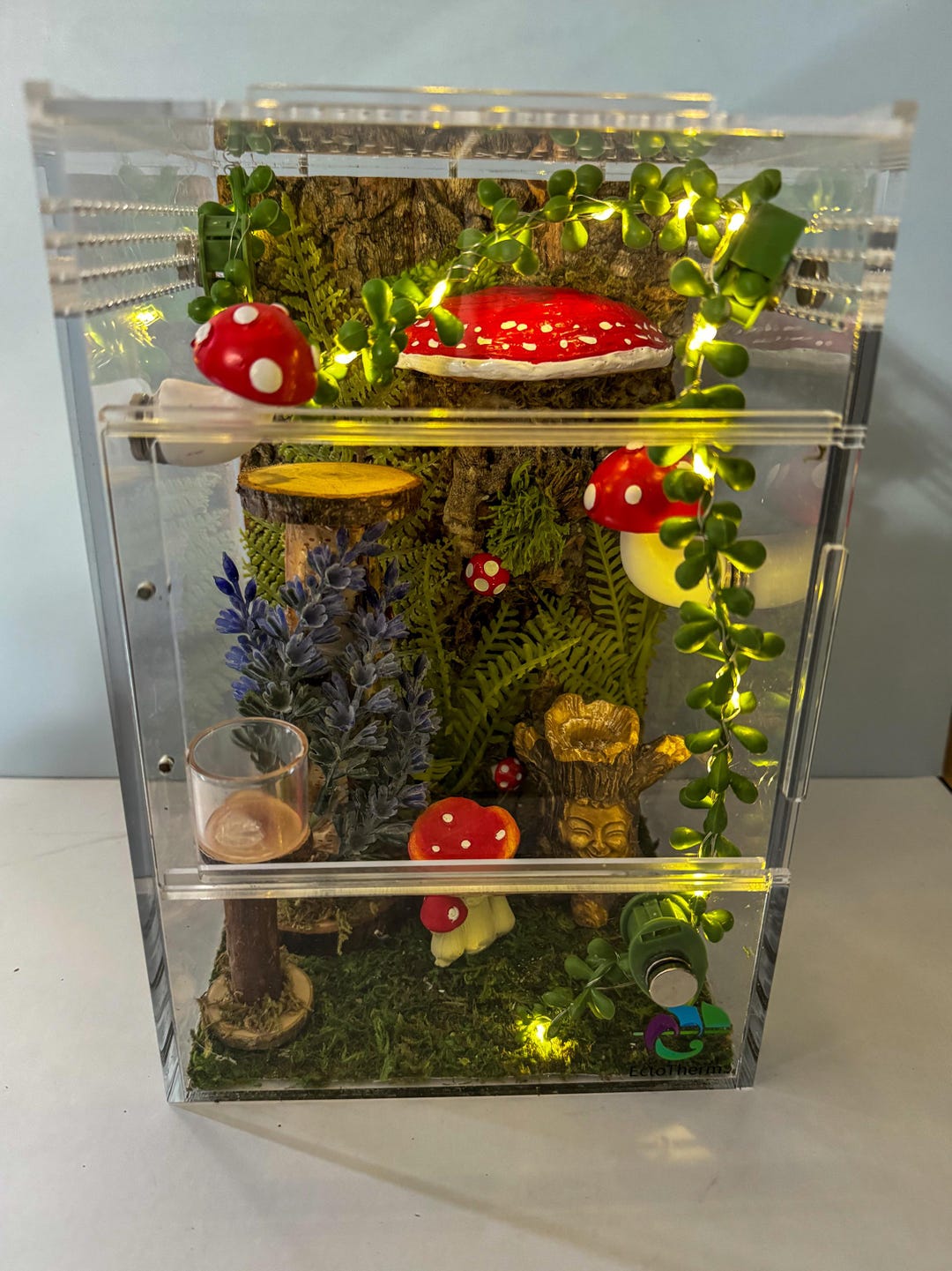 Front Opening Jumping Spider Enclosure, 6x6x9, READY TO SHIP, Spider ...