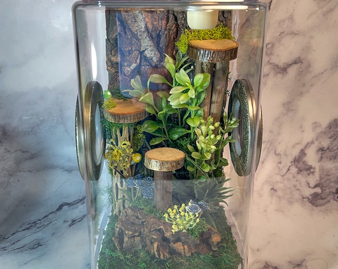 Easter Spring Jumping Spider Enclosure Habitat,4x4x8, Jumping Spider ...