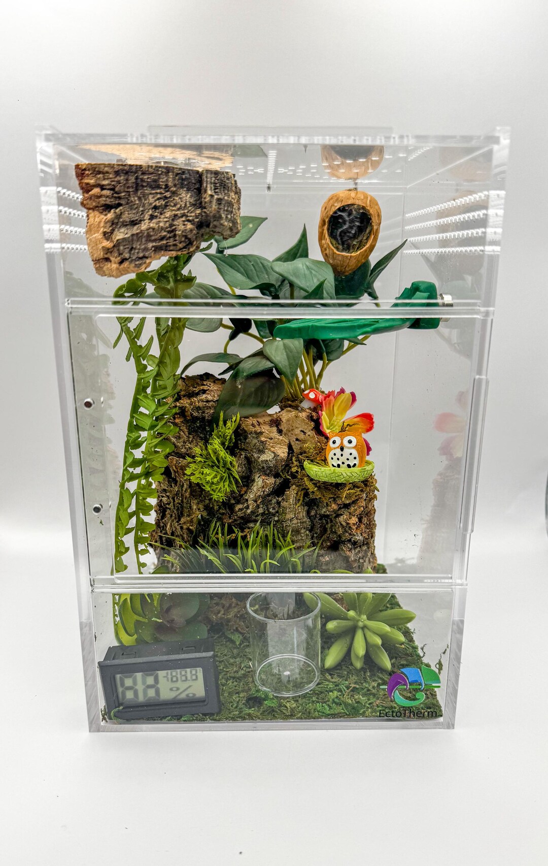 Front Opening Jumping Spider Enclosure, 7.8x5.3x10, READY TO SHIP ...