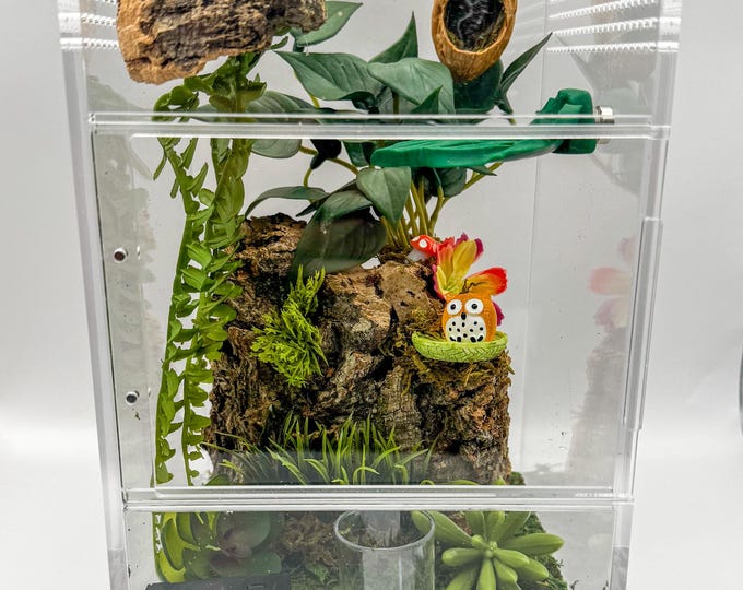 Front Opening Jumping Spider Enclosure, 7.8x5.3x10, READY TO SHIP ...