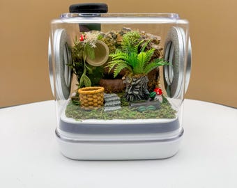 Front Opening Jumping Spider Enclosure, 12x6x6, READY TO SHIP, Spider ...