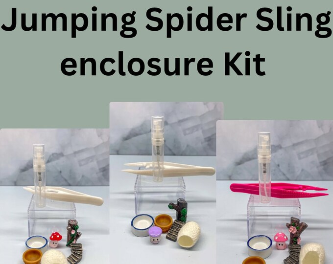 Jumping Spider Sling Enclosure, 2x2x1.5 Tank, Spider Habitat, Arachnid ...